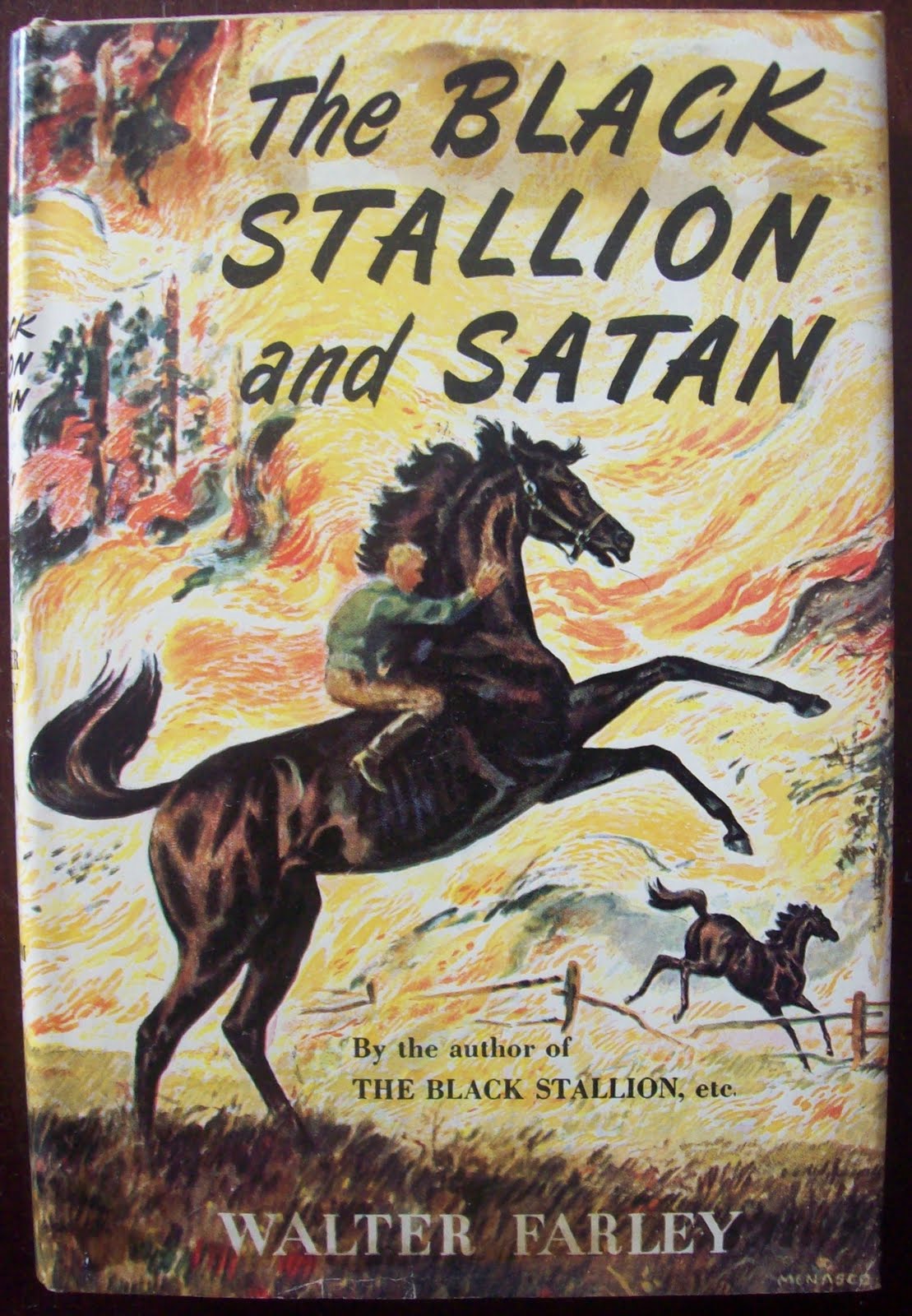 The Black Stallion | 100bookseverychildshouldreadbeforegrowingup